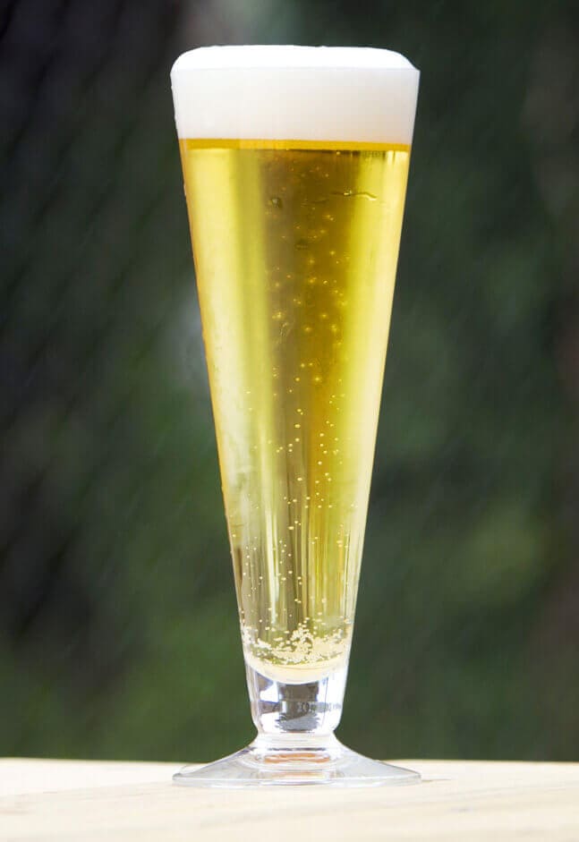 Staff Picks: Pilsners & Lagers • The Growler Guys