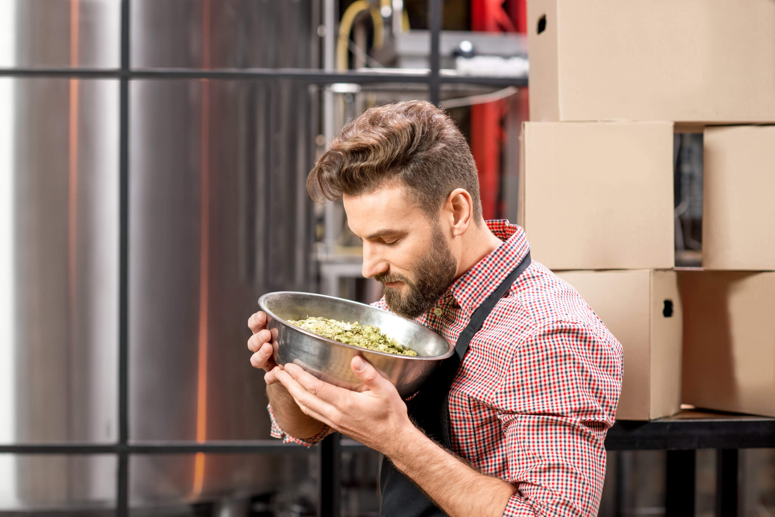 Understanding the Science of Beer to Improve Your Drinking Experience