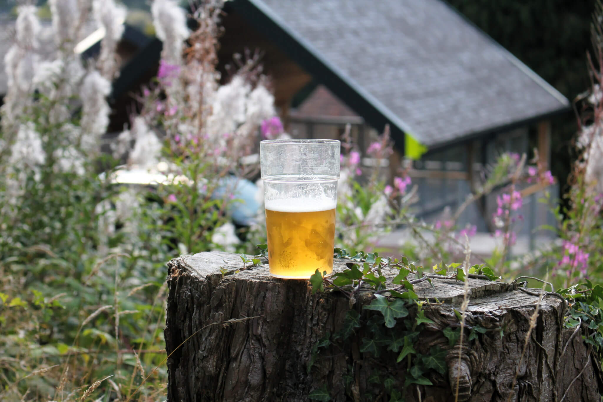 Farmhouse Ales: The Rustic and Refreshing Beer You Need to Try