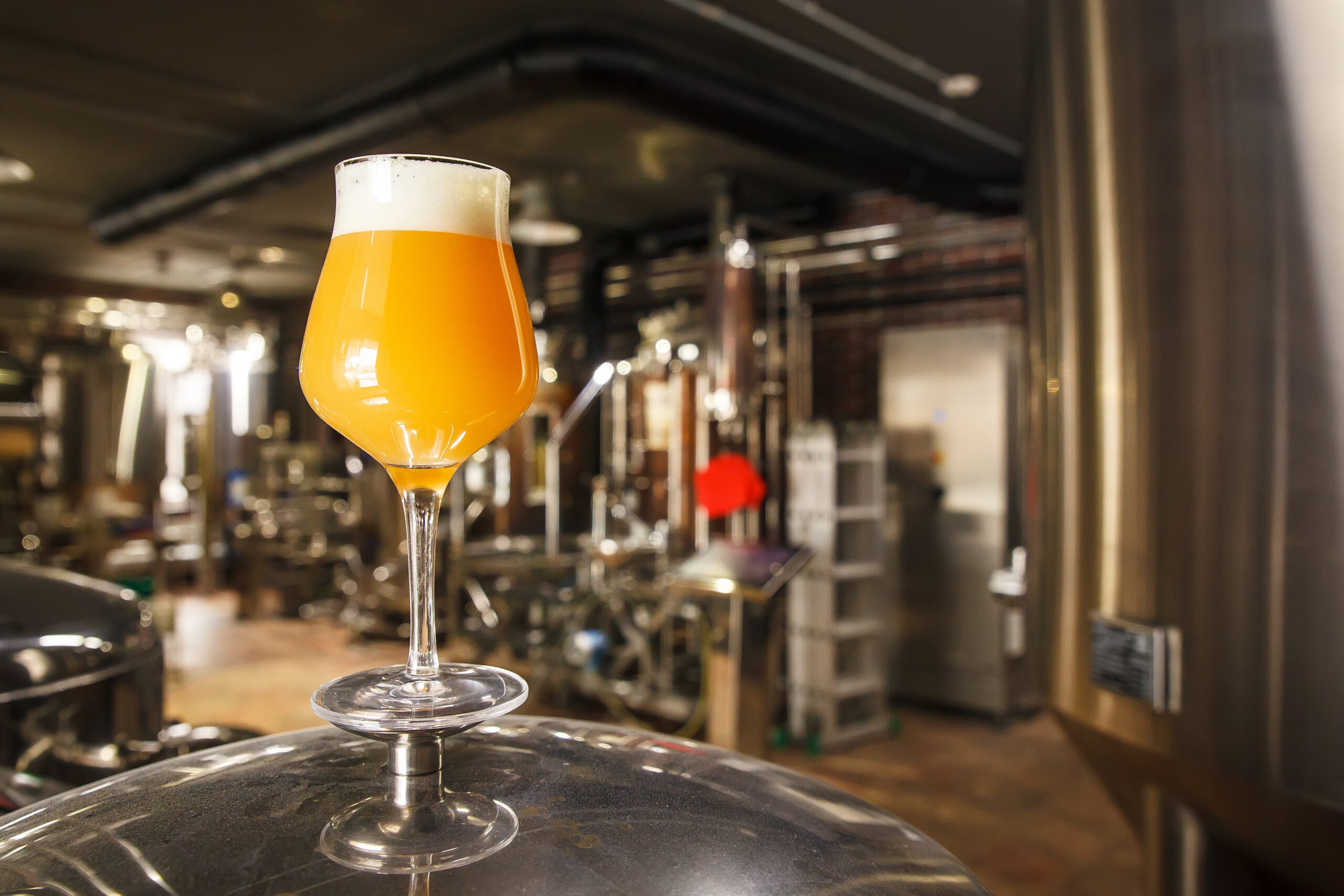 Lazy, Hazy, or Crazy? Why People Love Hazy IPAs. • The Growler Guys