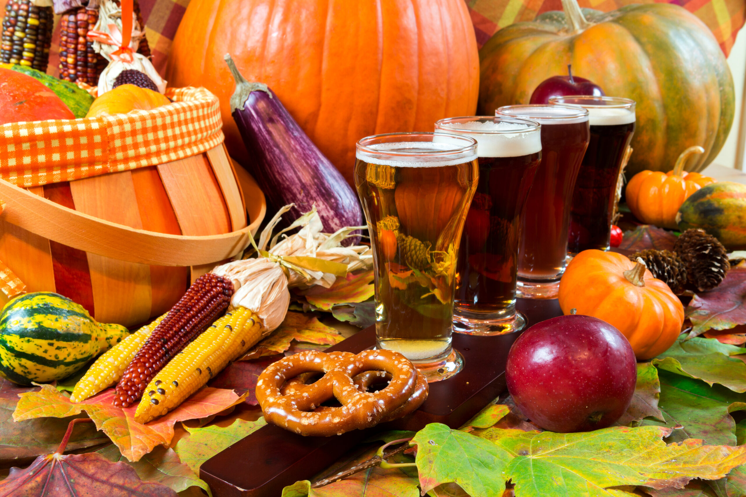 A Guide to the Best Fall Beers for 2024 • The Growler Guys